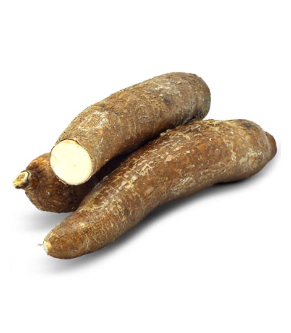 YUCA FRESCA 2 LB – Puerto Rico Market